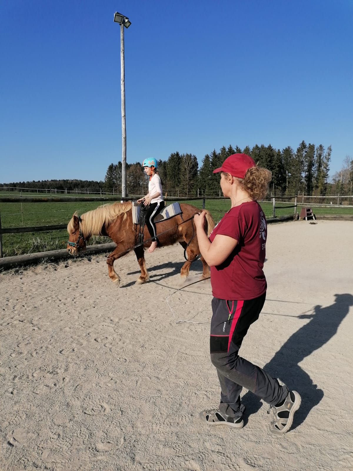 Pony-Kids - Reiten lernen mit Voltigierübungen für Kinder ab 6 Jahre ...
